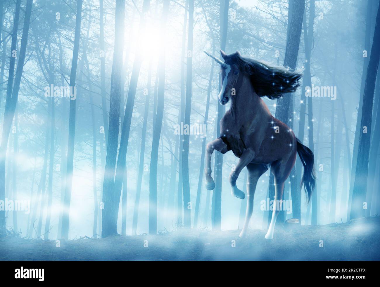 Beautiful unicorn hi-res stock photography and images - Alamy
