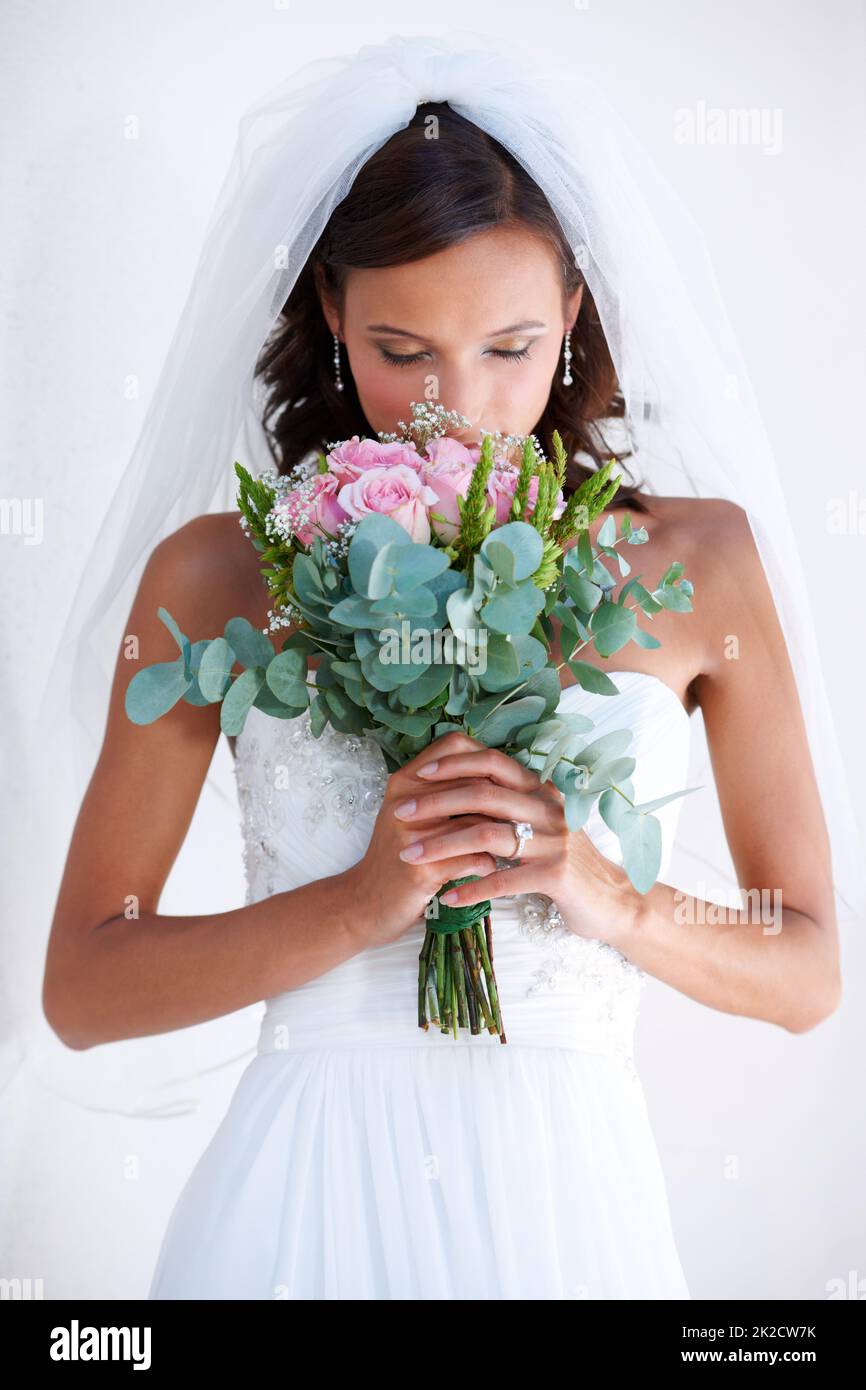 Bride look hi-res stock photography and images - Alamy