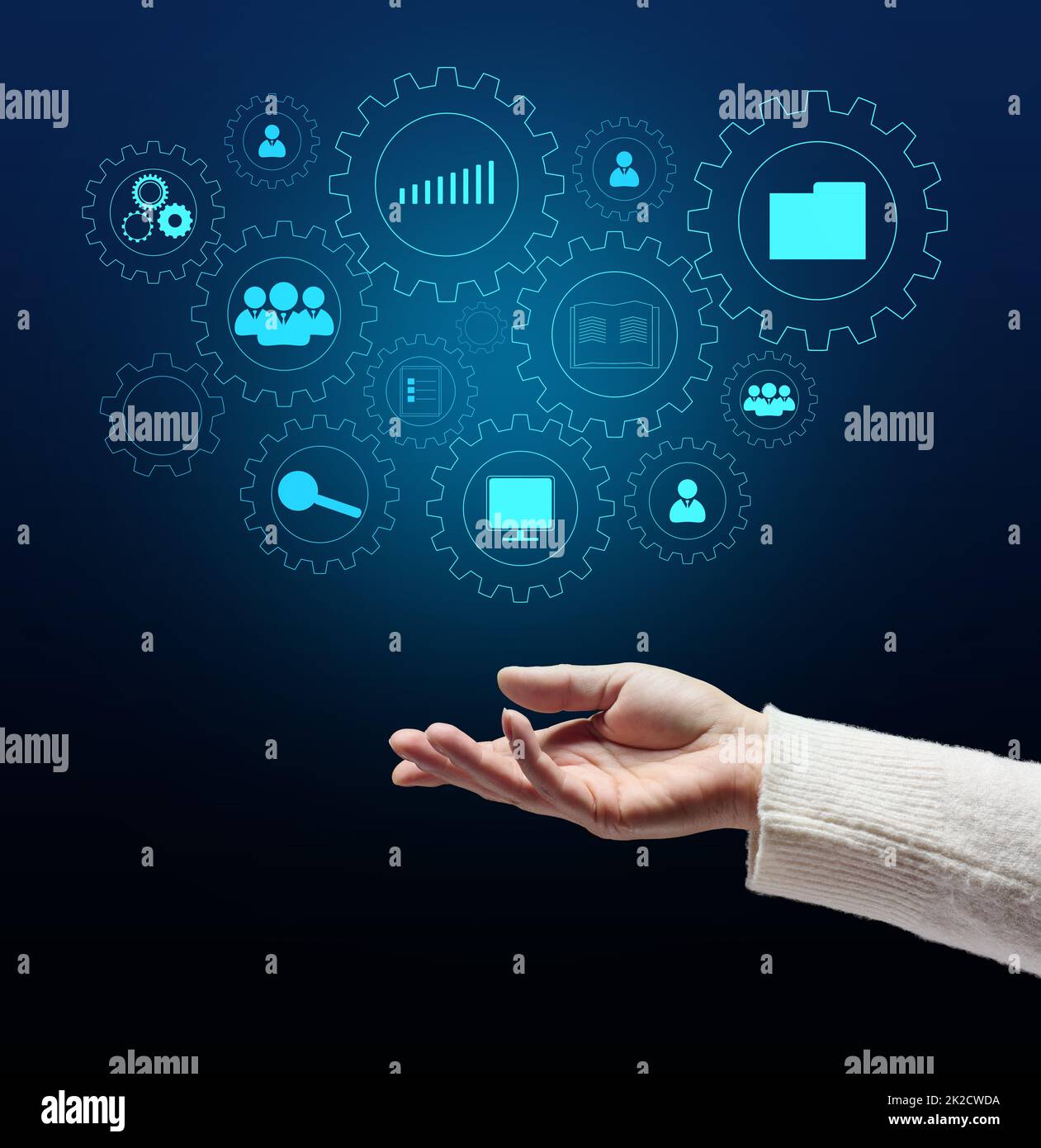 Control and management of business processes in the enterprise for ...