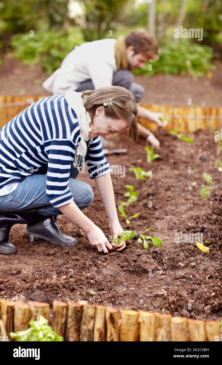 Informal planting hi-res stock photography and images - Alamy