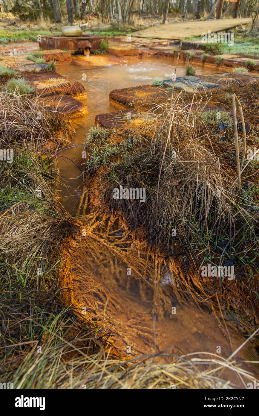 Soos nature reserve czech hi-res stock photography and images - Alamy