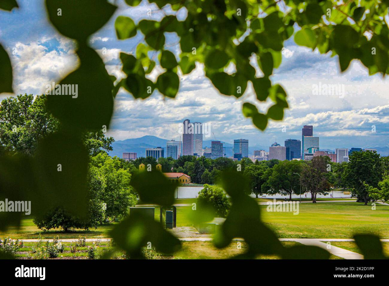 Downtown Denver Skyline Framed by Green Trees at City Park, Colorado ...
