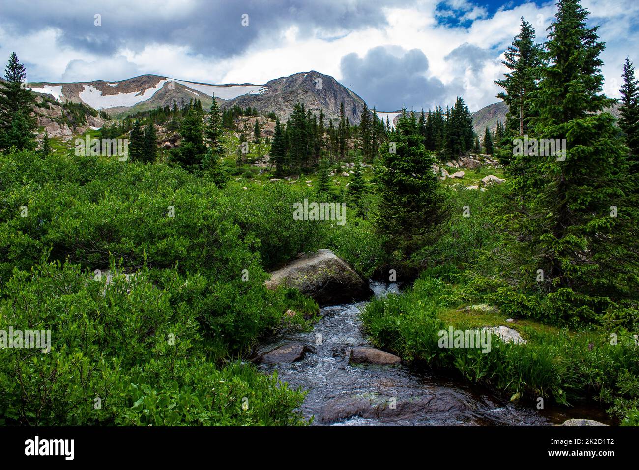 Mountain stream in colorado forest hi-res stock photography and images ...