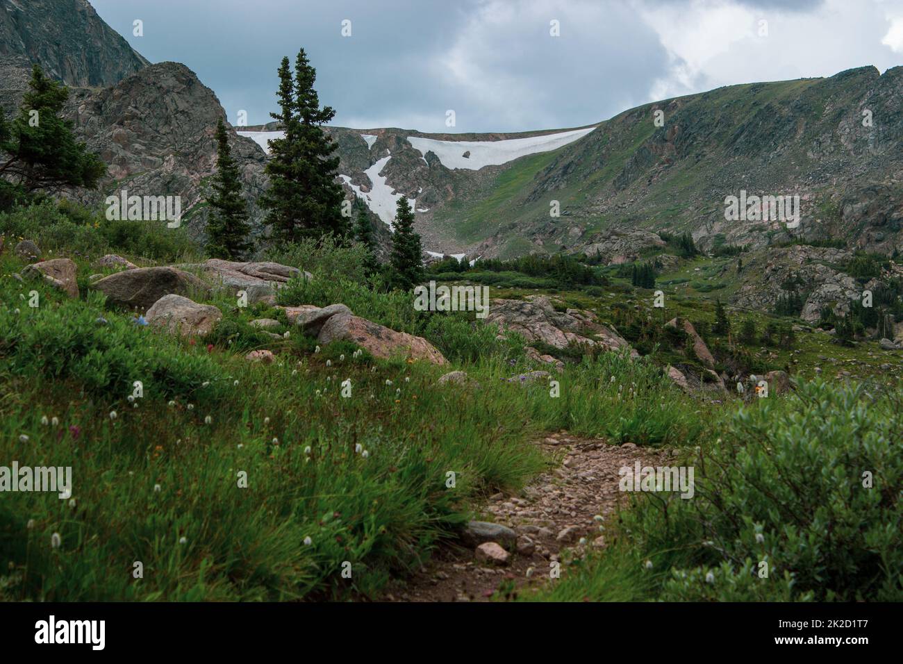 Mountain Path in Colorado Stock Photo - Alamy