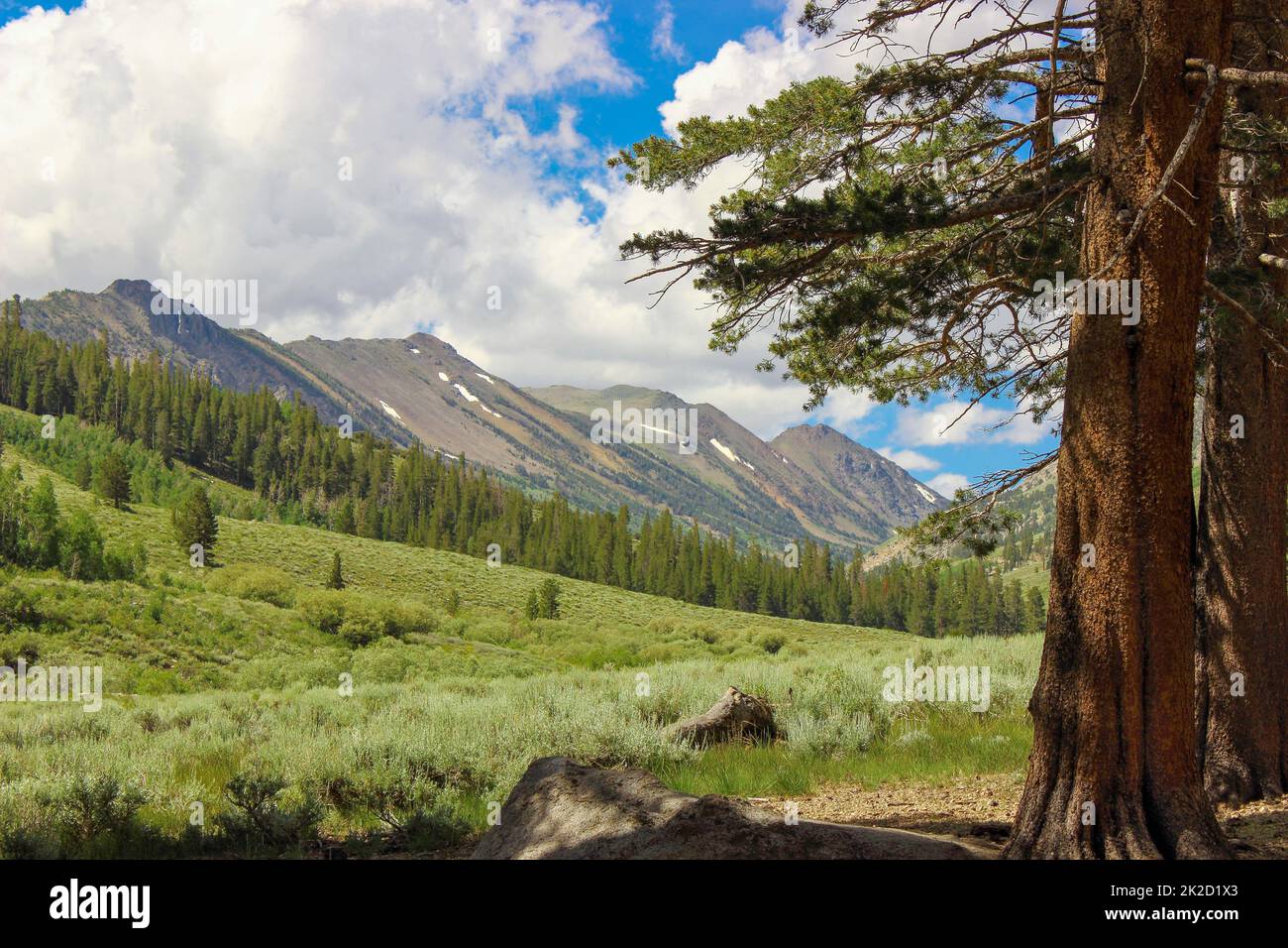 Sierra Nevada Mountain Landscape Stock Photo - Alamy