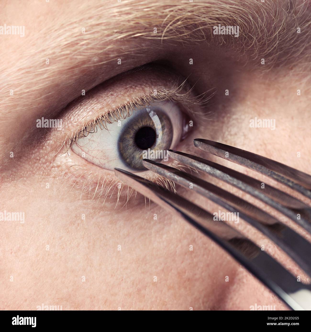 Pointed look hi-res stock photography and images - Alamy