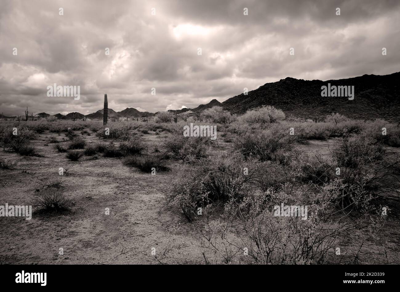 Infrared Sonora Desert Arizona San Tan Mountains Stock Photo - Alamy