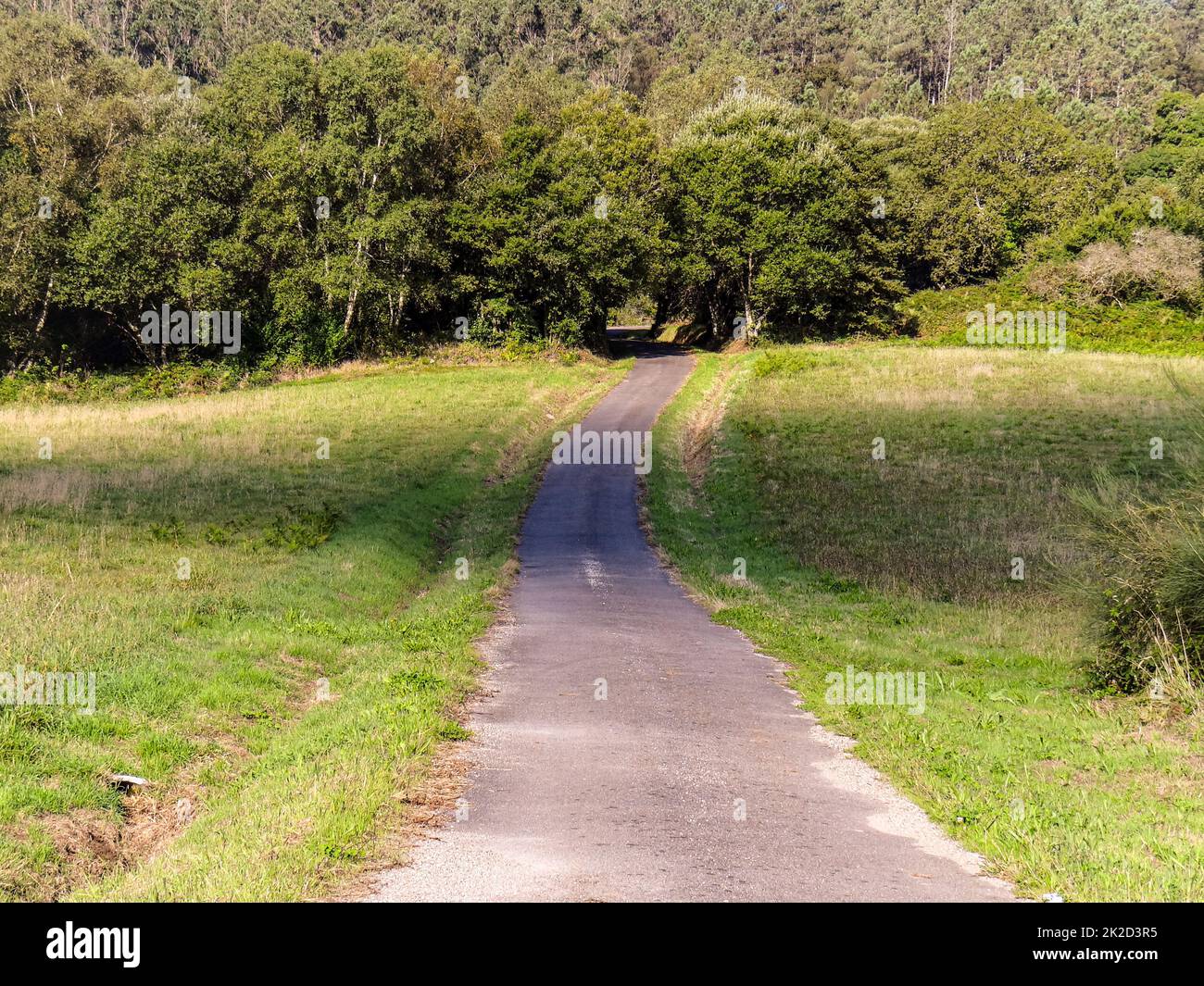 Lonely pathway hi-res stock photography and images - Alamy