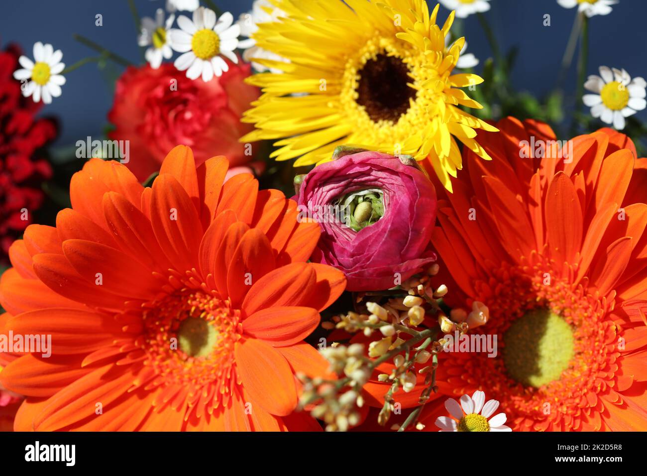Summer fresh flowers hi-res stock photography and images - Alamy