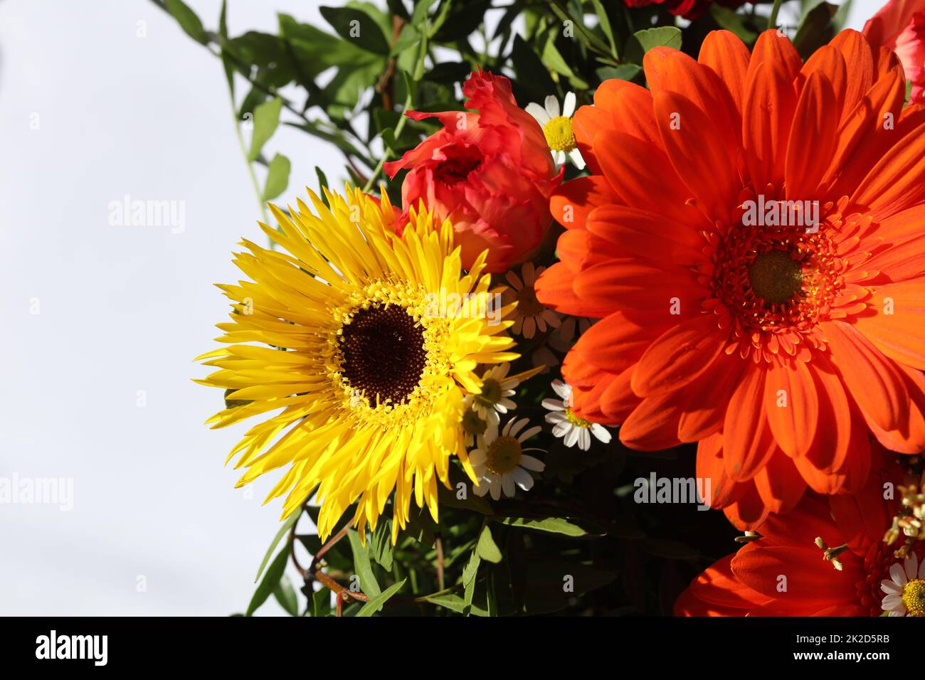 Bouquet fresh summer flowers hi-res stock photography and images - Alamy