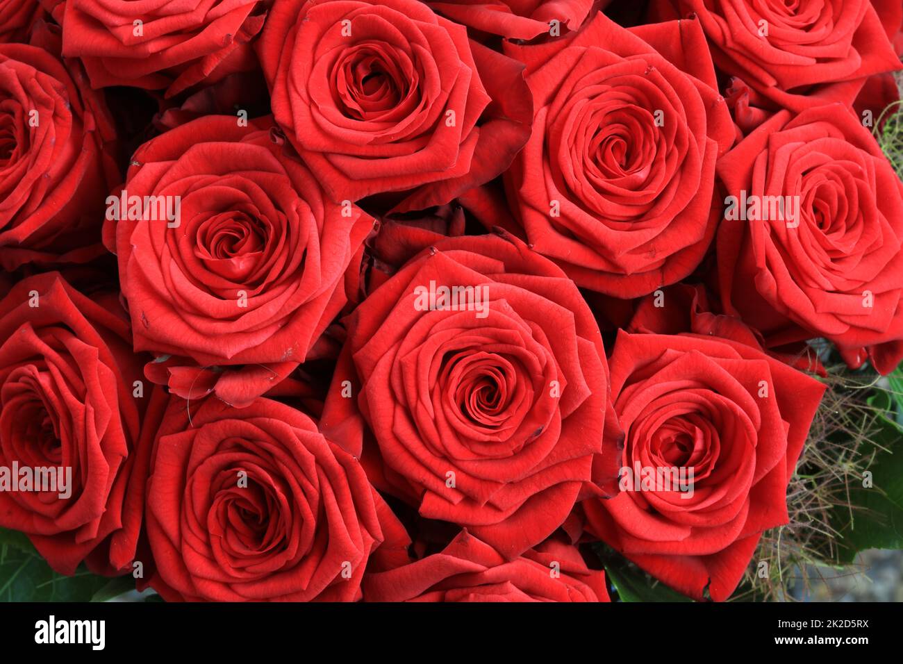 Perfection of a bouquet hi-res stock photography and images - Alamy