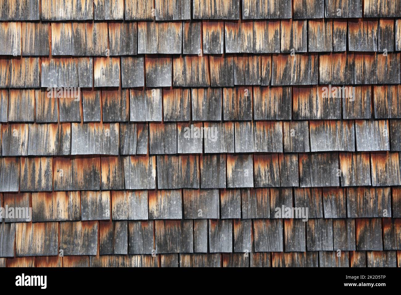 Cedar texture hi-res stock photography and images - Alamy