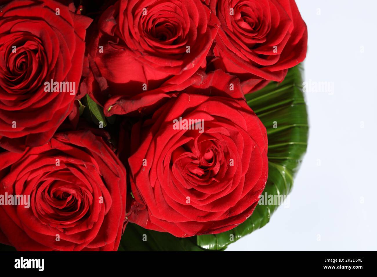 Bunch of red Roses Stock Photo - Alamy