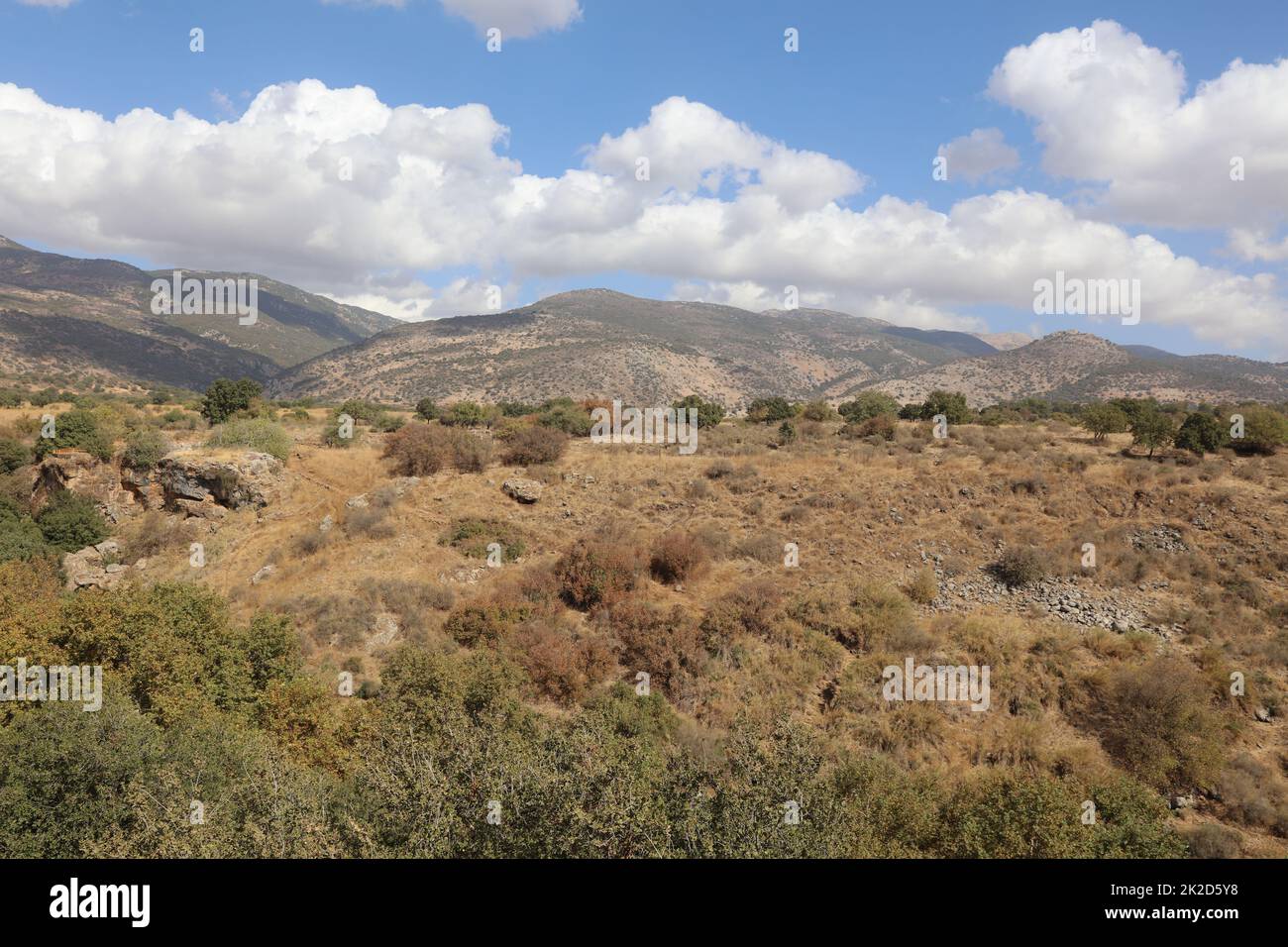 Syria war army hi-res stock photography and images - Alamy