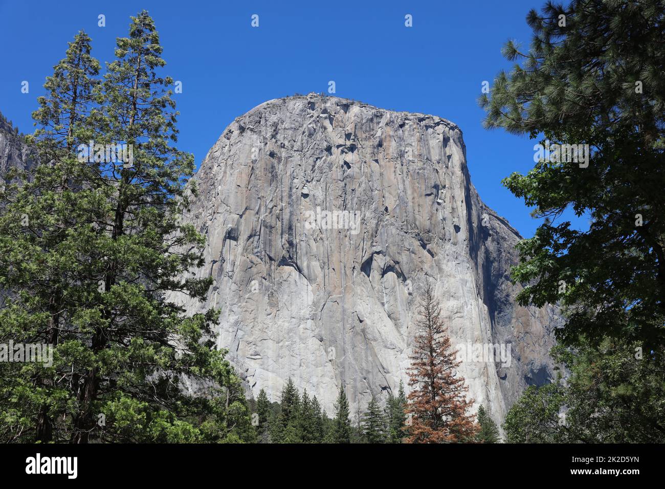 Usa california el capitan hi-res stock photography and images - Alamy