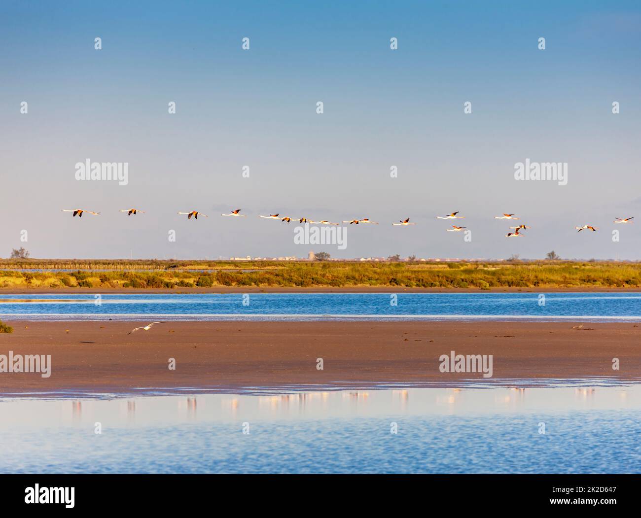 Camargue national nature reserve hi-res stock photography and images ...