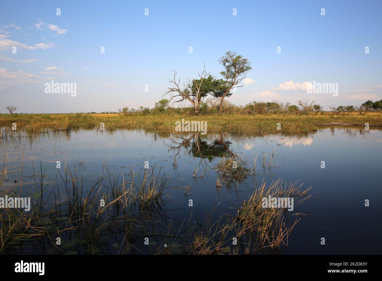 Kavango okavango river hi-res stock photography and images - Alamy