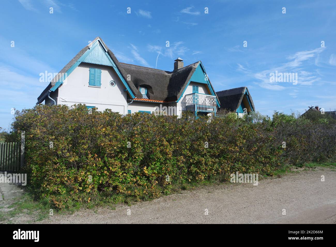 Thatched roof house behind wild rose hedge Stock Photo - Alamy