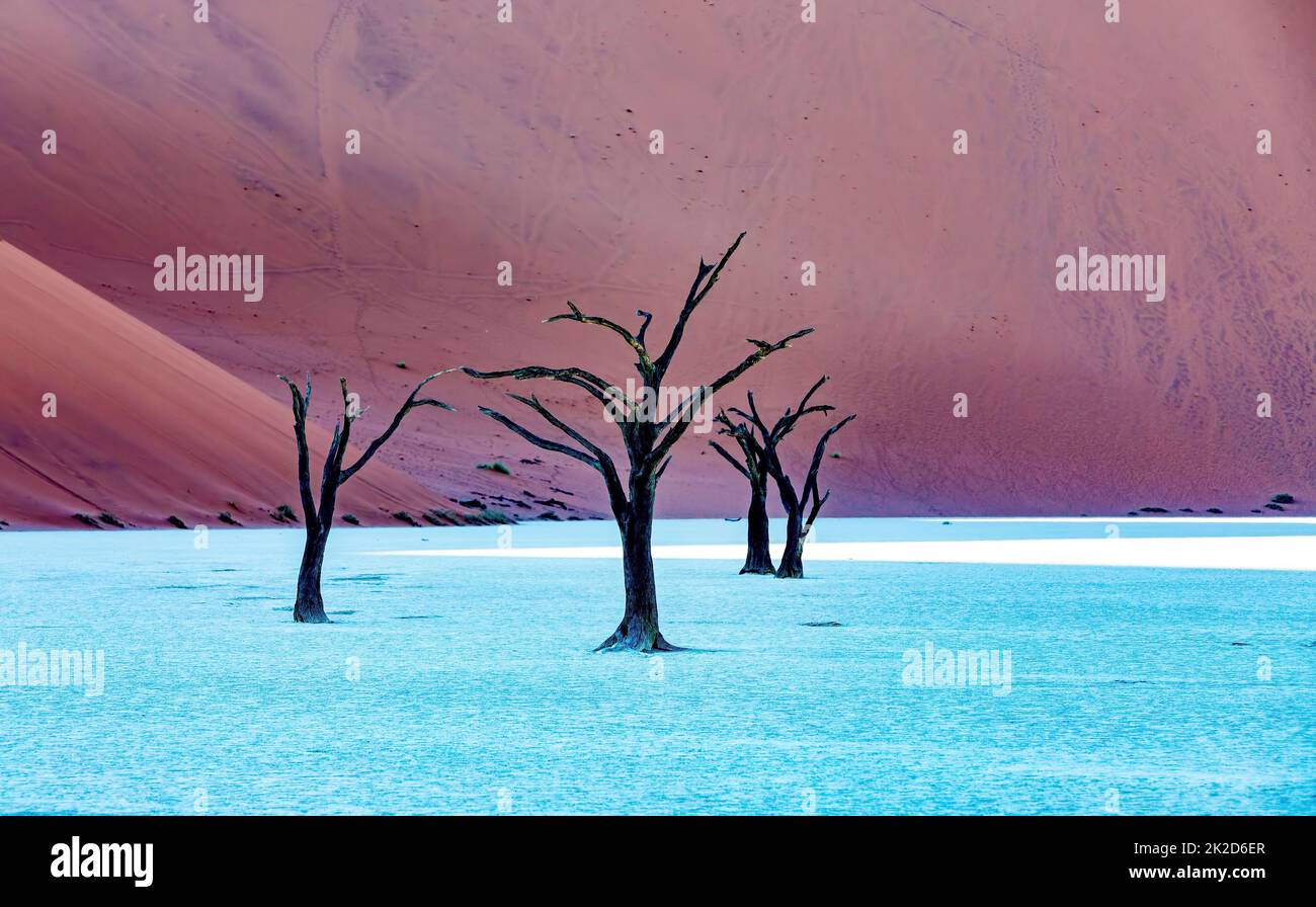 Dead Vlei landscape in Sossusvlei, Namibia Stock Photo - Alamy