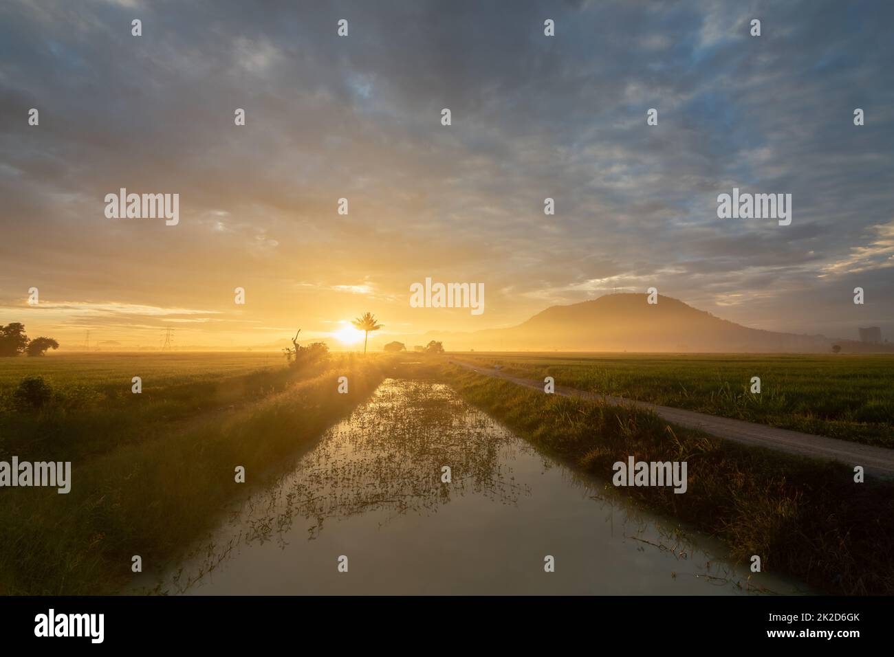Golden hour scene hi-res stock photography and images - Alamy