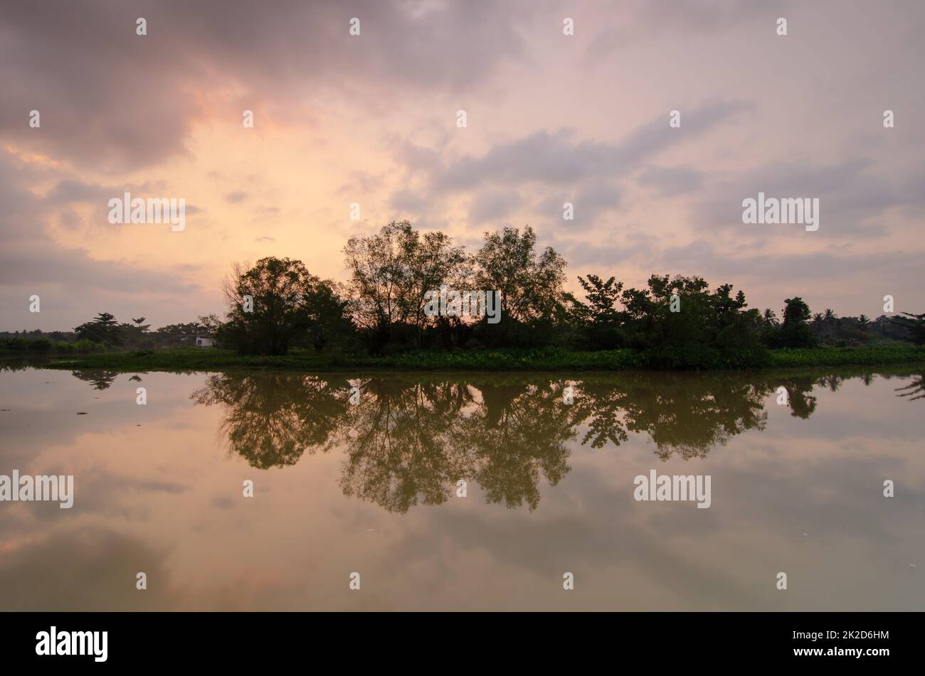 Reflection of beautiful green trees under dramatic sky Stock Photo - Alamy