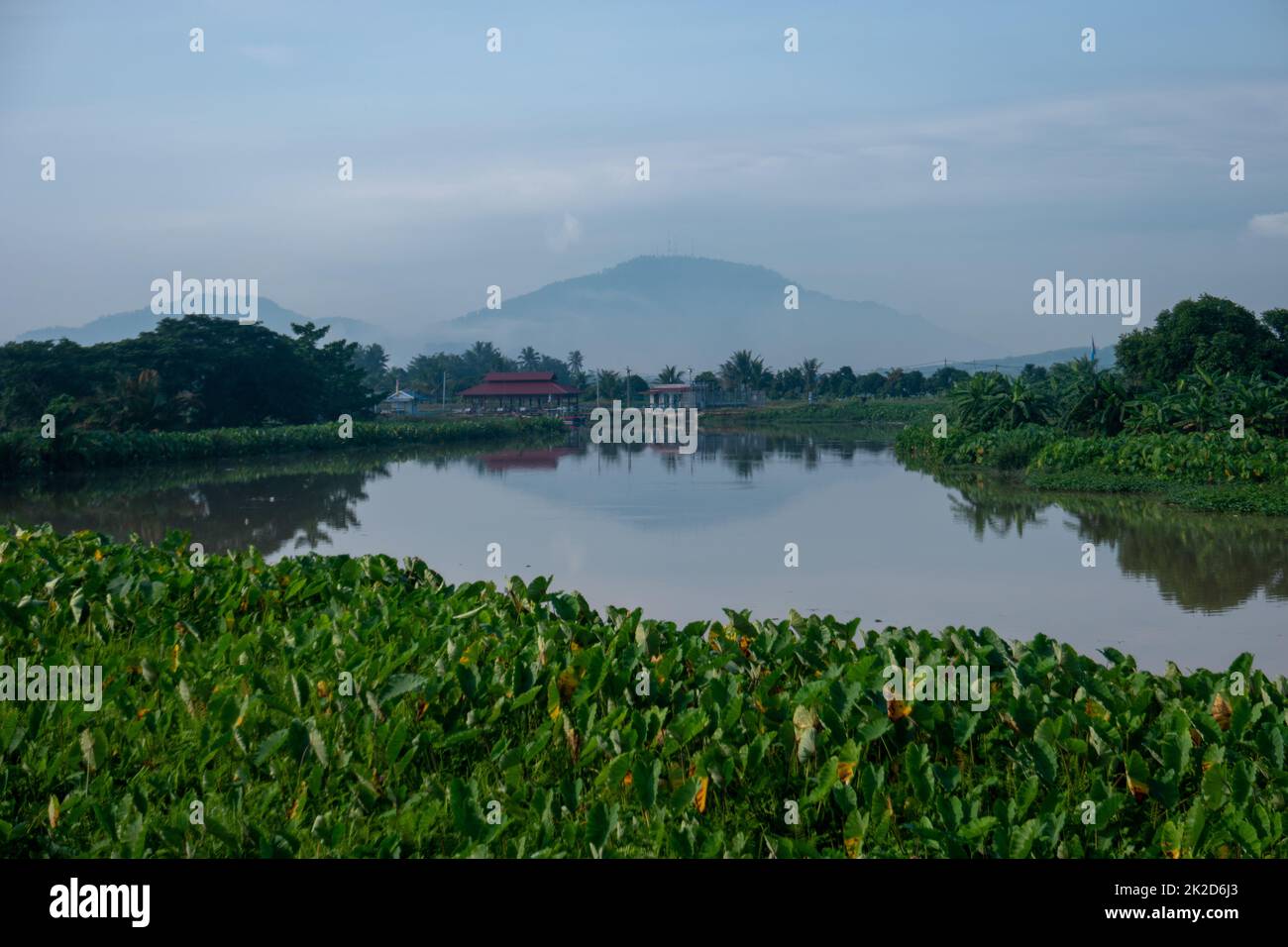 Green scenery hi-res stock photography and images - Alamy