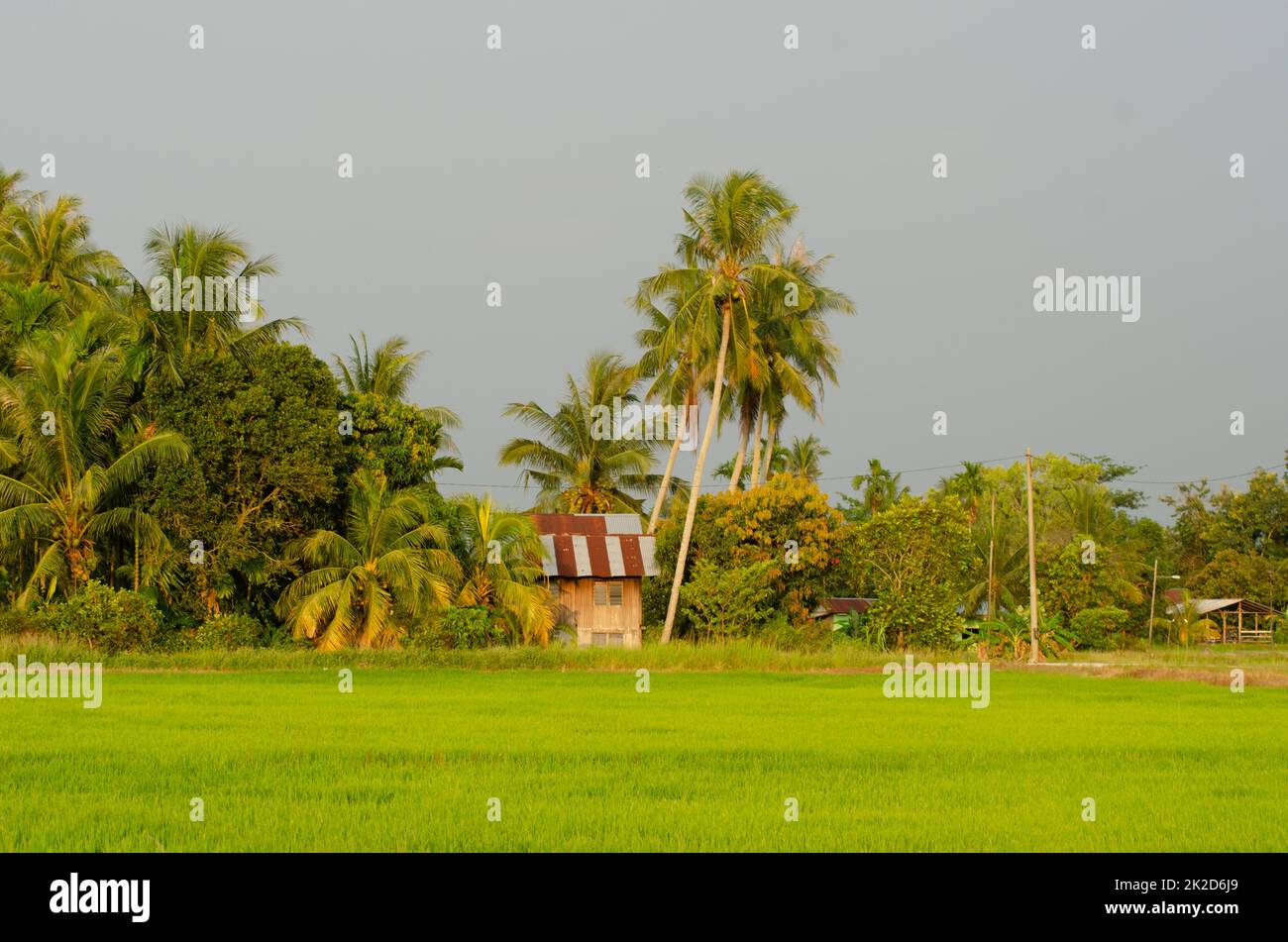 Malay house kampung hi-res stock photography and images - Alamy