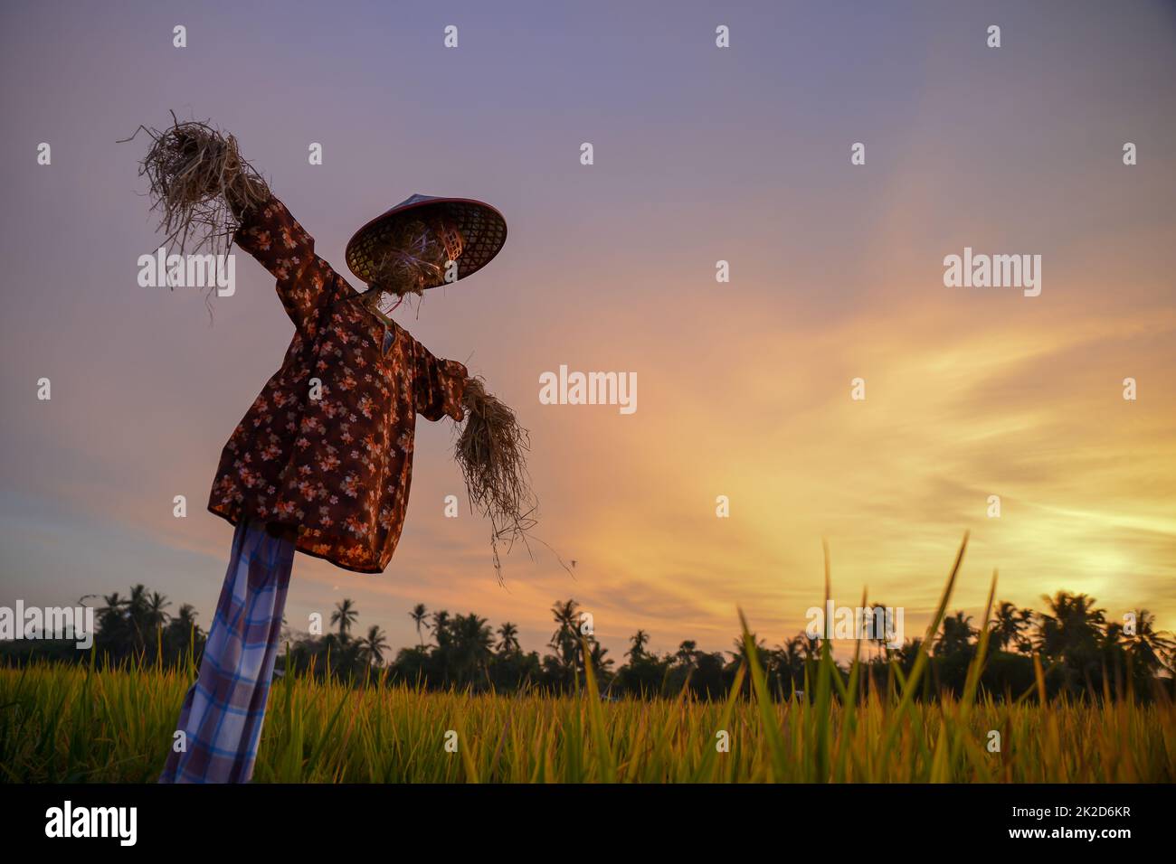 Scare crows hi-res stock photography and images - Alamy