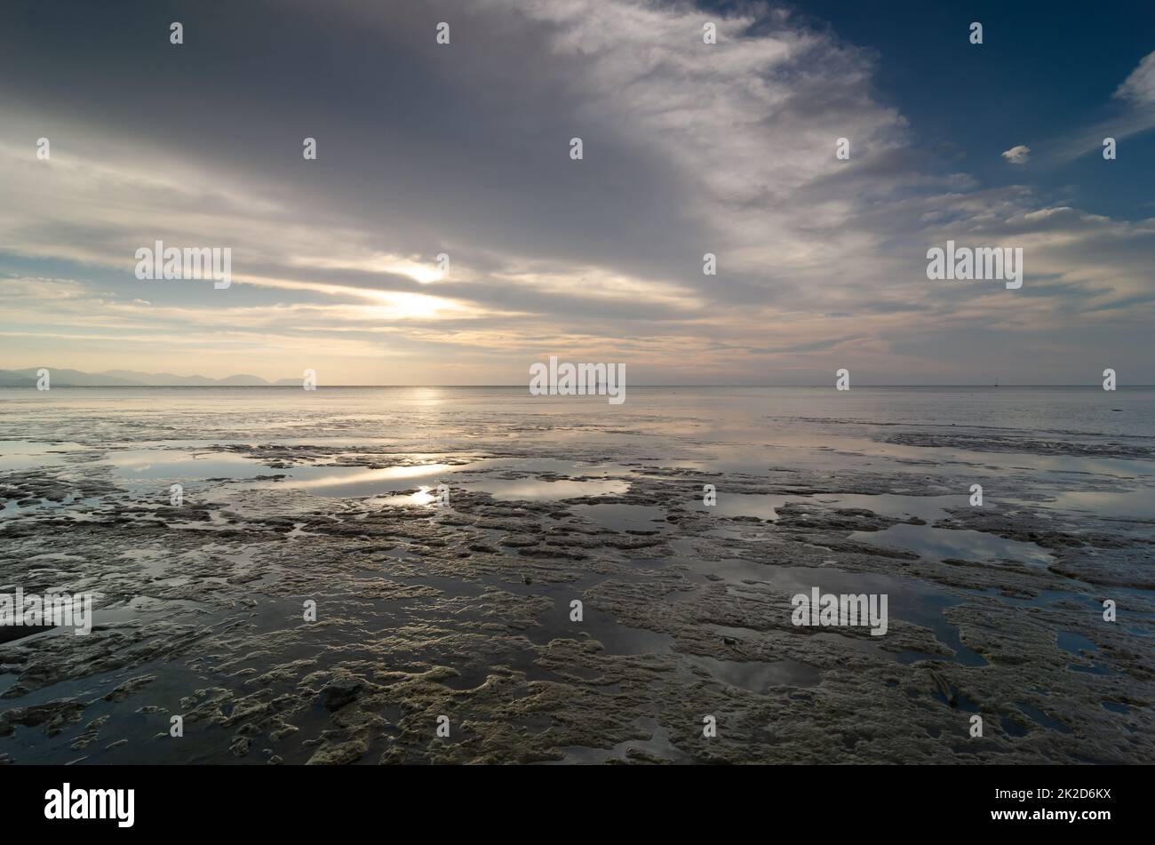 Sea coastal muddy land Stock Photo - Alamy