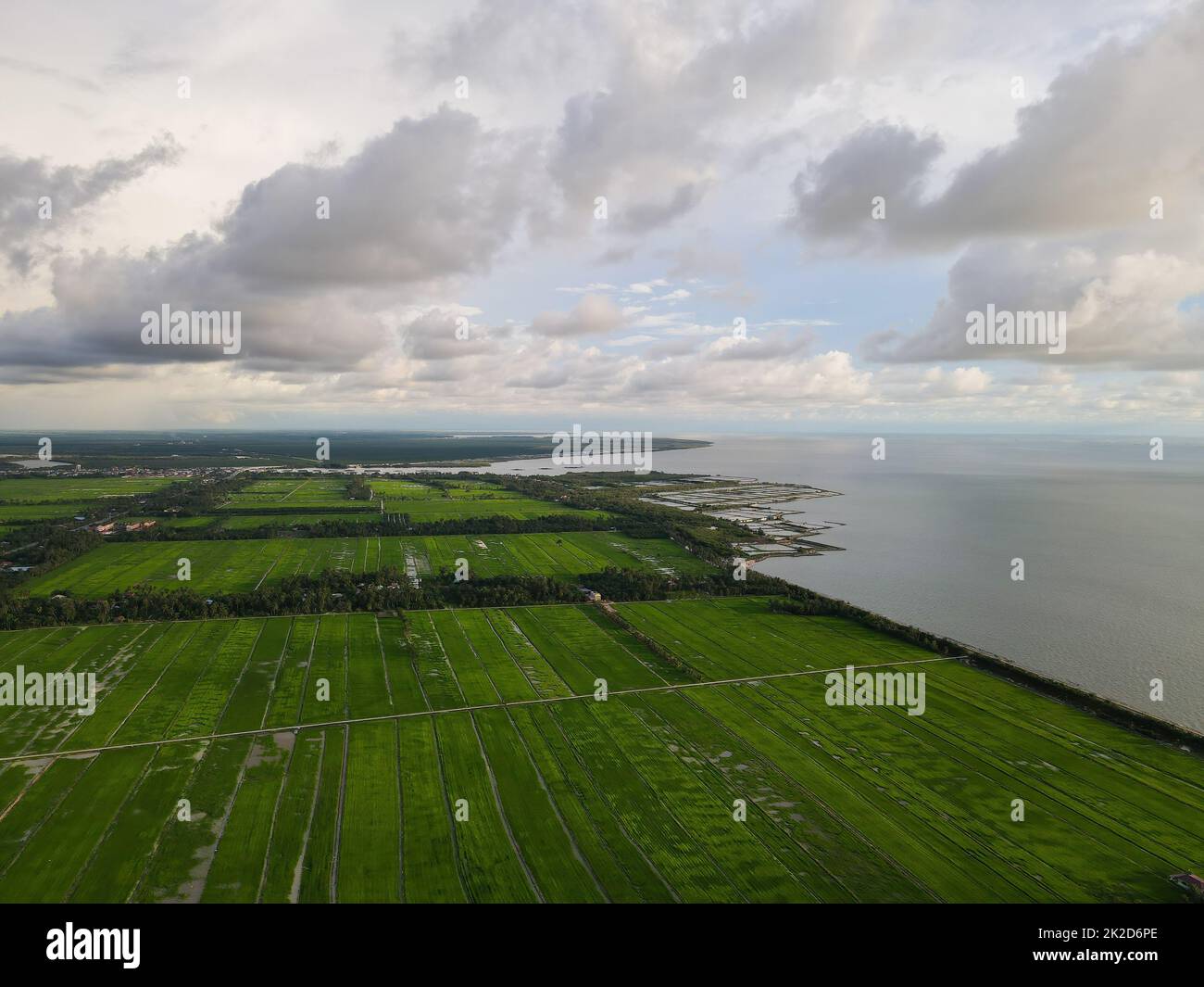 Aerial view rain cloud evening at paddy field Stock Photo - Alamy
