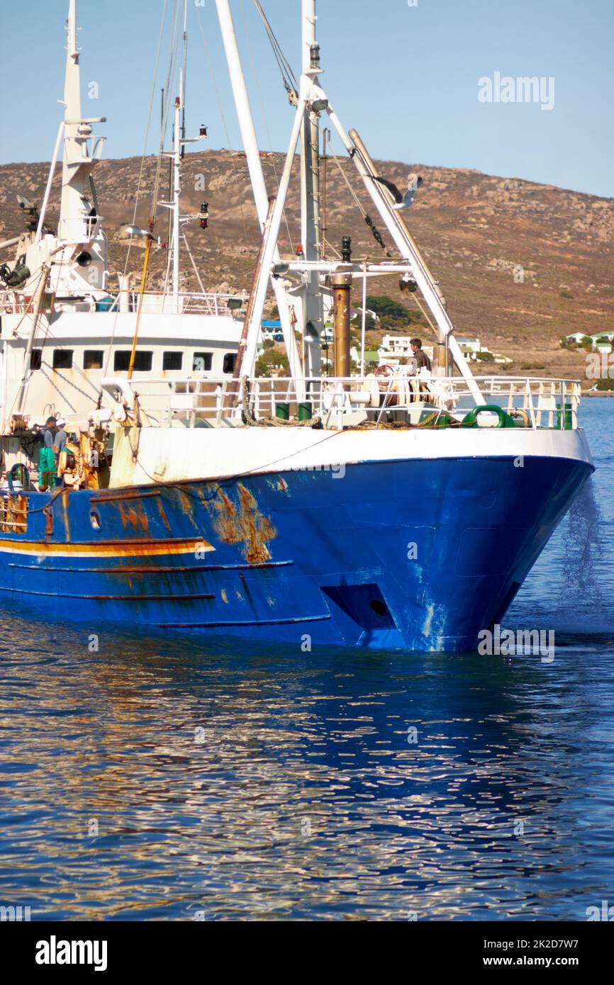 Coming in with a rich haul. Shot of a fishing trawler returning to ...