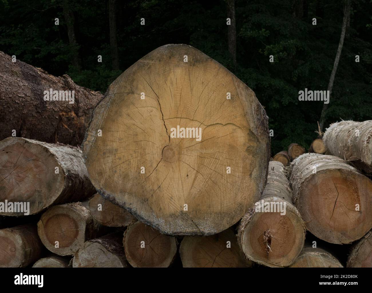 Residual biomass hi-res stock photography and images - Alamy