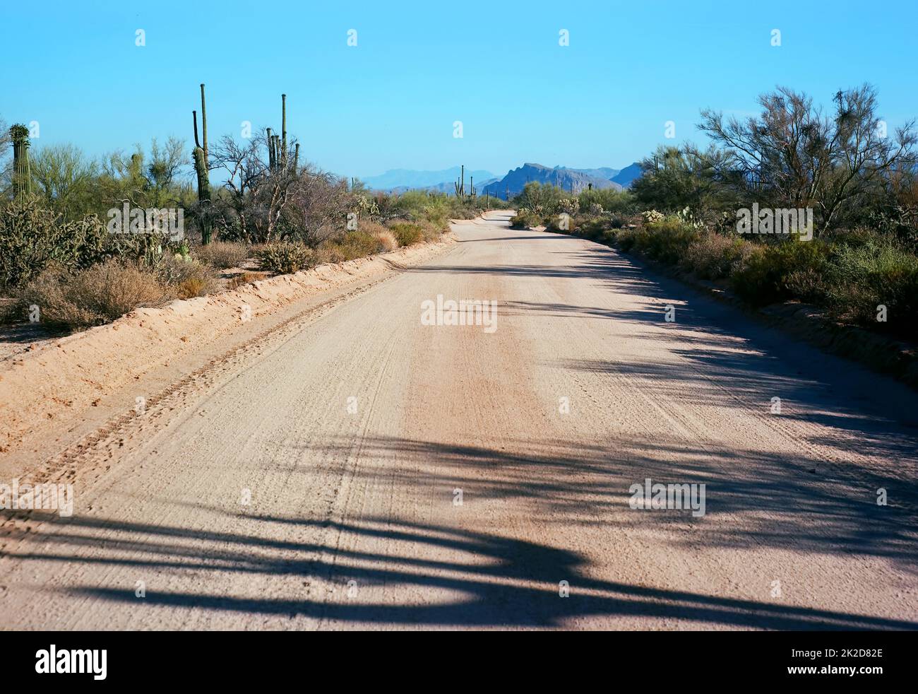 Desert Road Sonora desert Arizona Stock Photo - Alamy