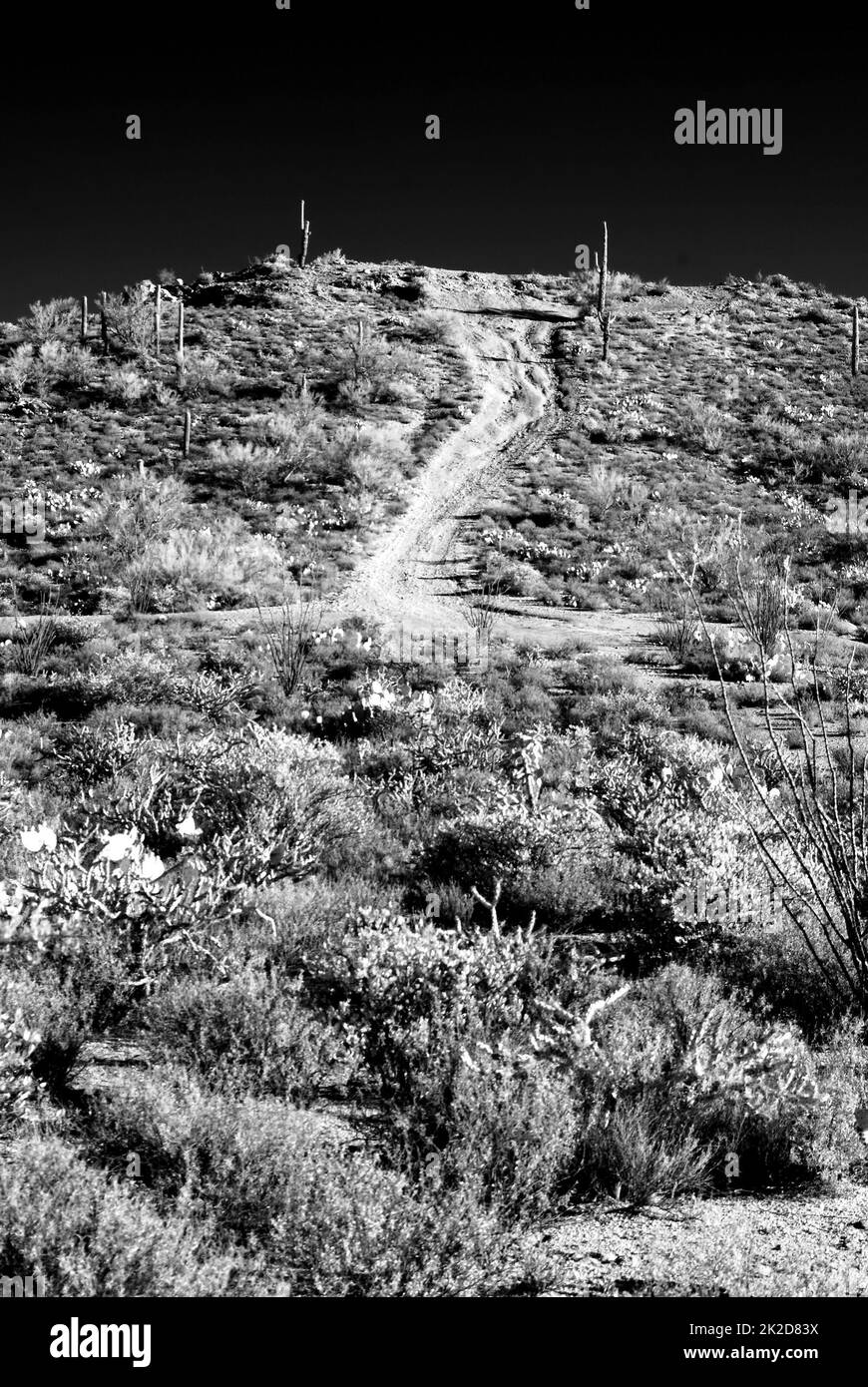 Lonely desert dirt road hi-res stock photography and images - Alamy
