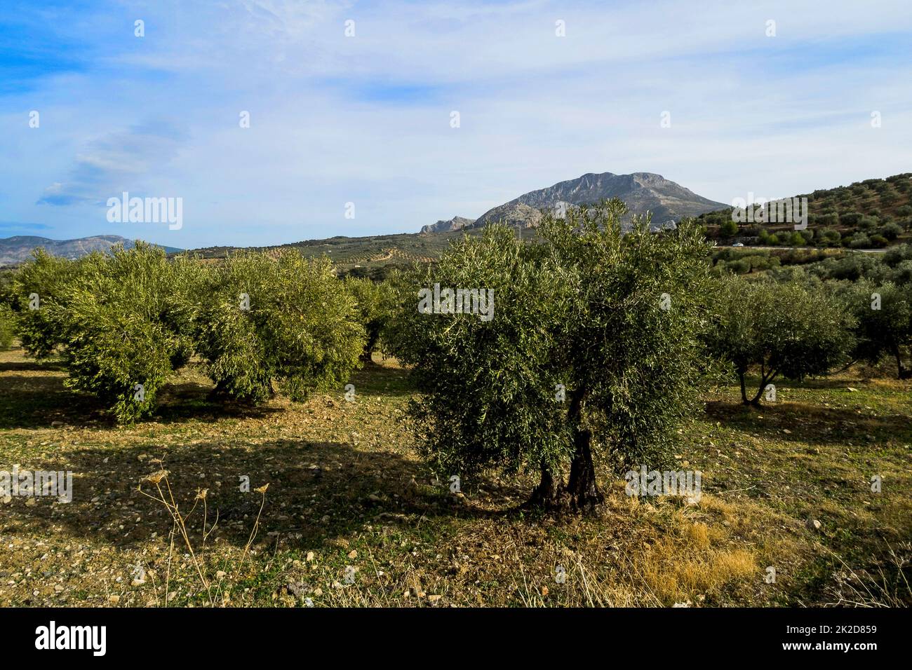 Spain, EL Burgo - White Town Stock Photo - Alamy