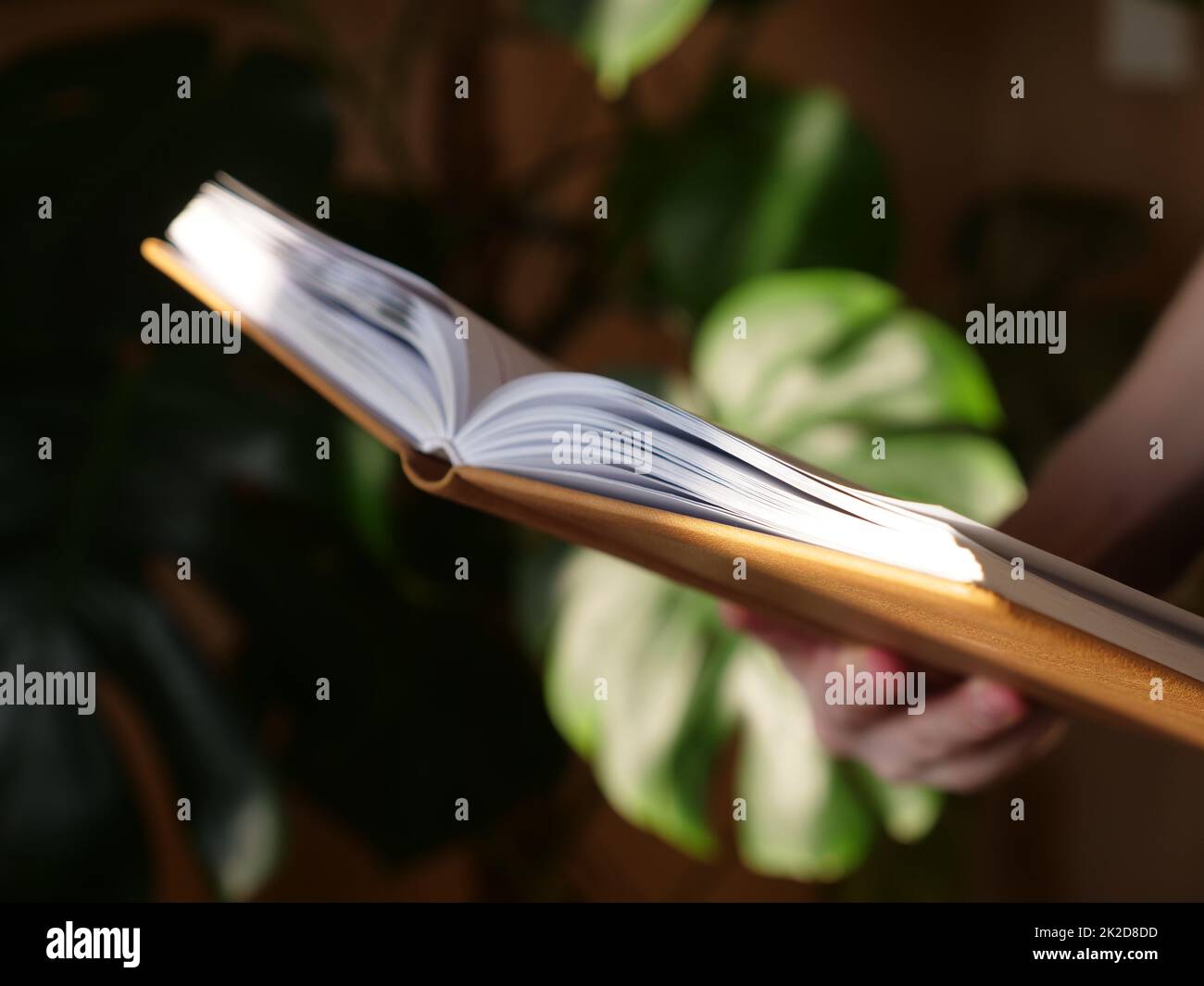 Open book in vertical hi-res stock photography and images - Alamy