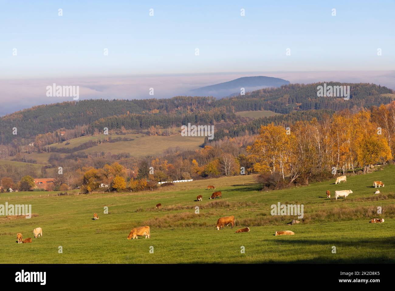 Typical Sumava autumn landscape, Southern Bohemia, Czech Republic Stock ...