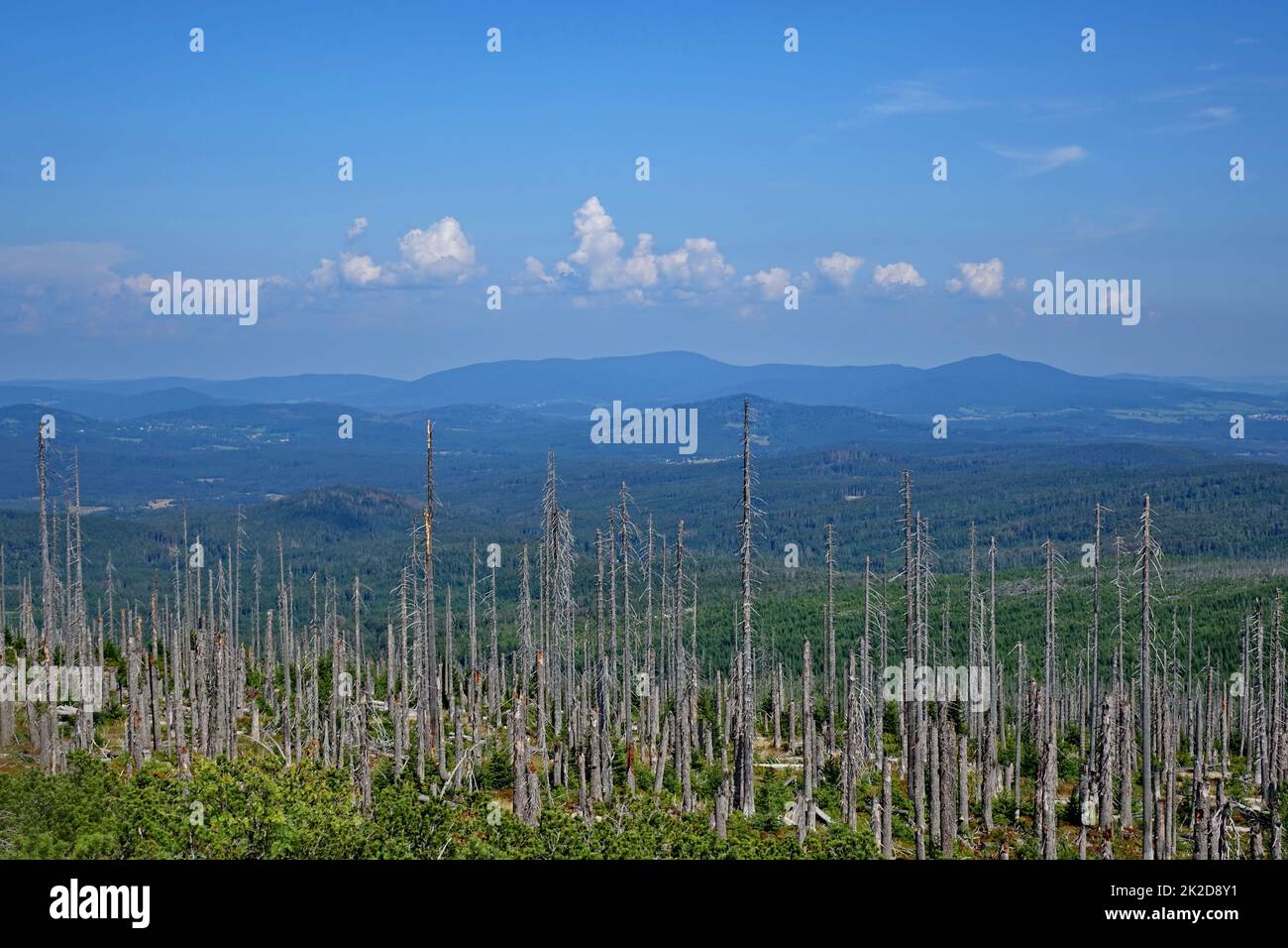 Sumava national park hi-res stock photography and images - Alamy