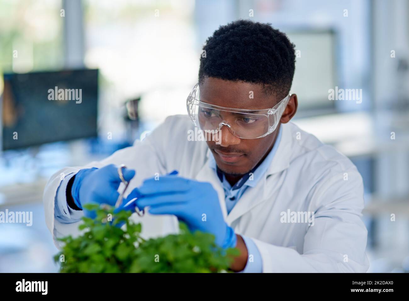 Scientist plant lab man hi-res stock photography and images - Alamy
