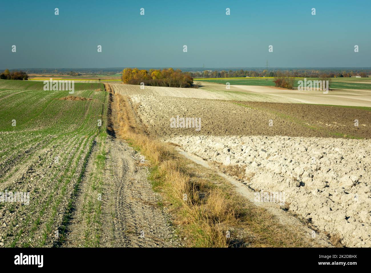 Dirt road through hilly farmland, Staw, Poland Stock Photo - Alamy