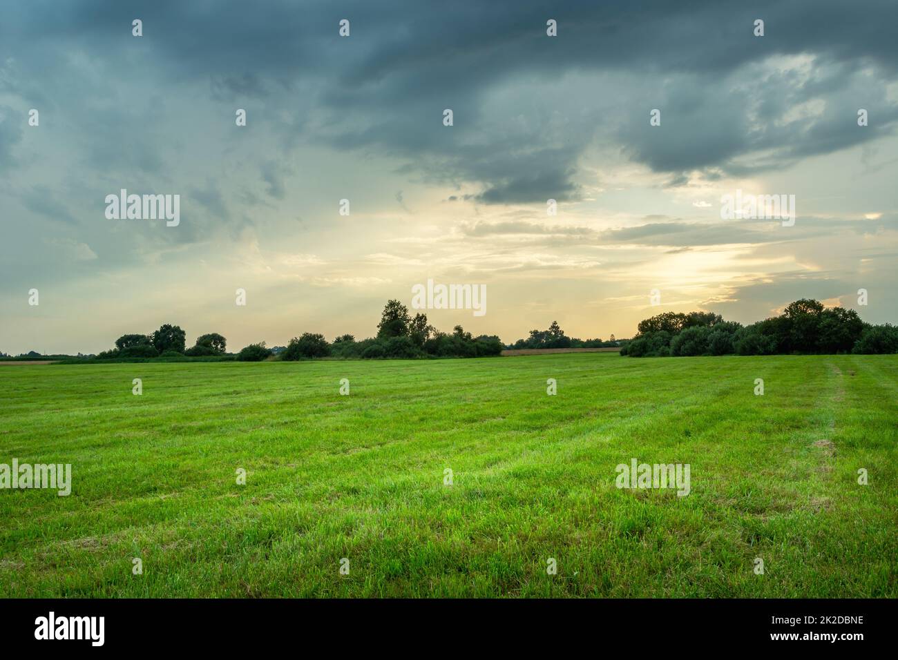Green meadow view hi-res stock photography and images - Alamy