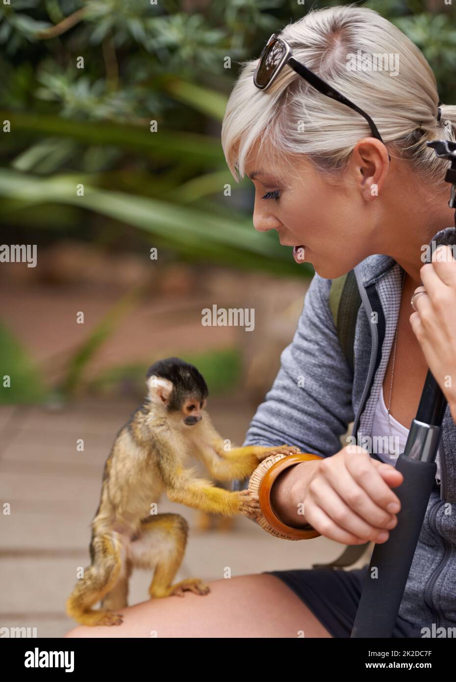 Getting in touch with nature. Cropped shot of a young woman interacting ...