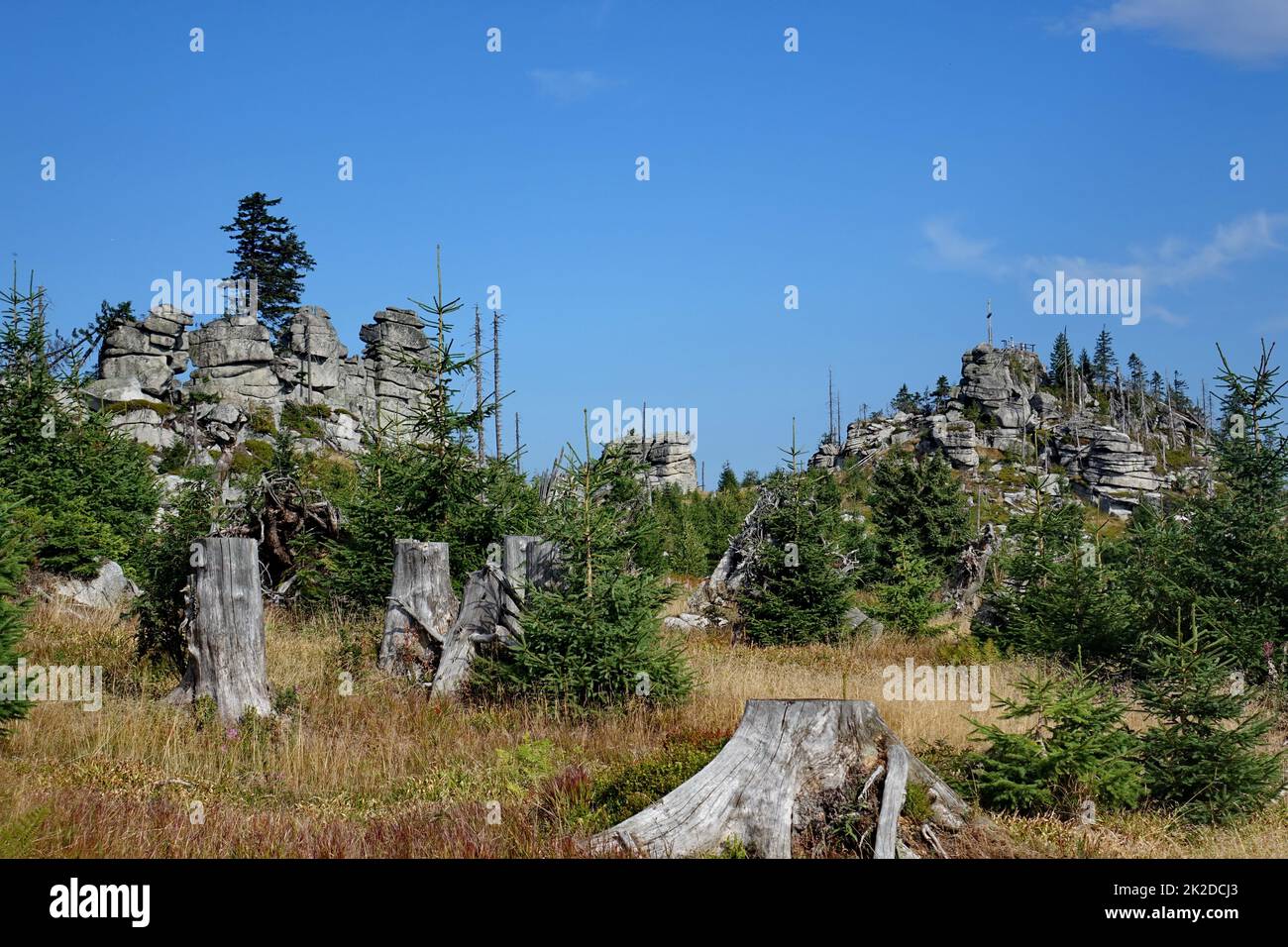 Bavaria, Lower Bavaria, Landkreis Freyung-Grafenau, Bavarian forest ...