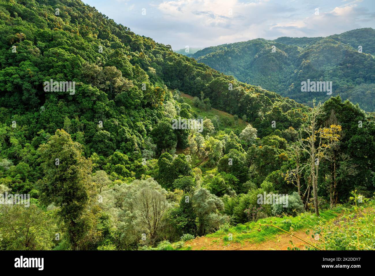 Landscape in San Gerardo de Dota, Costa Rica Stock Photo - Alamy