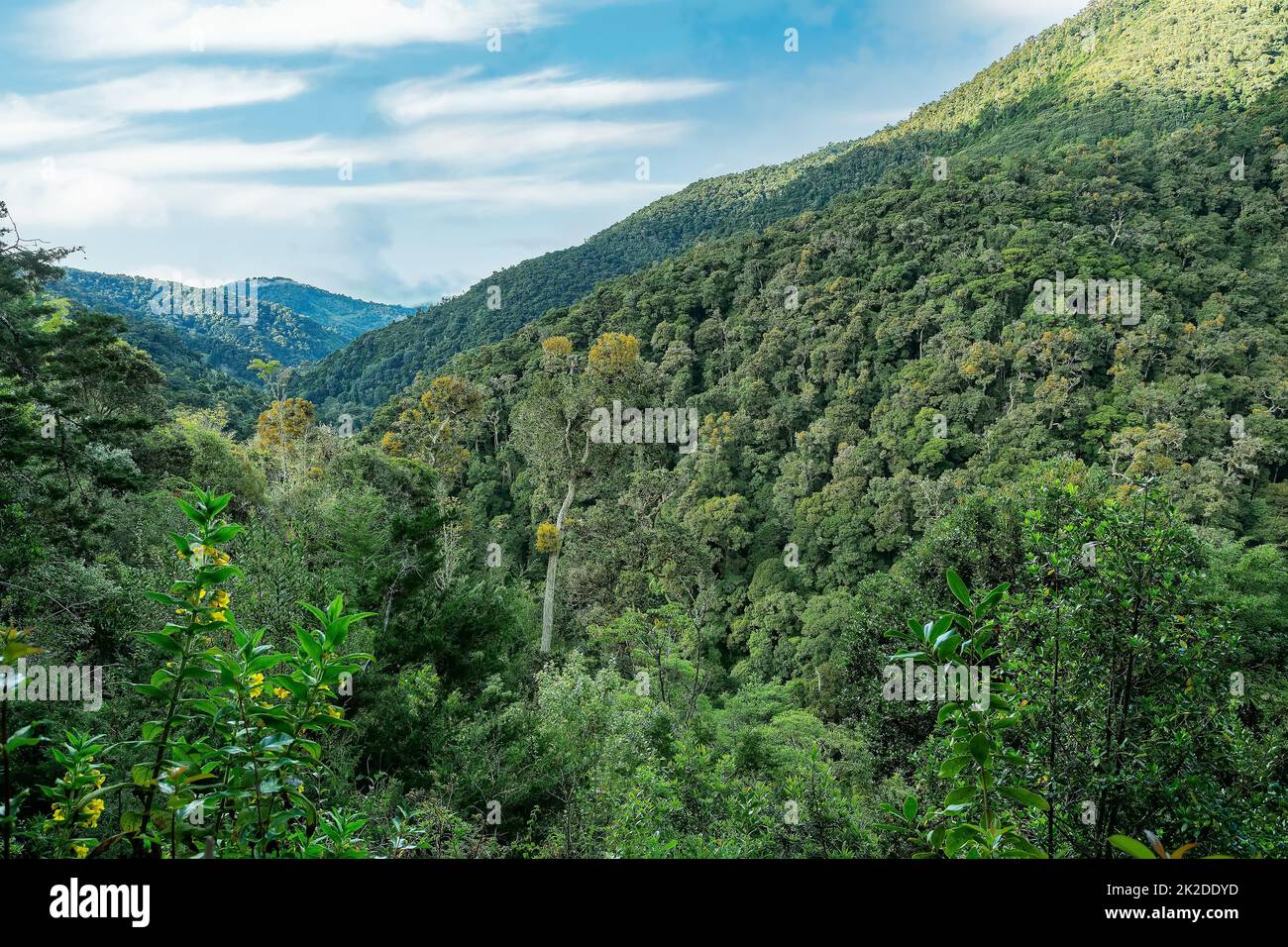 Landscape in San Gerardo de Dota, Costa Rica Stock Photo - Alamy
