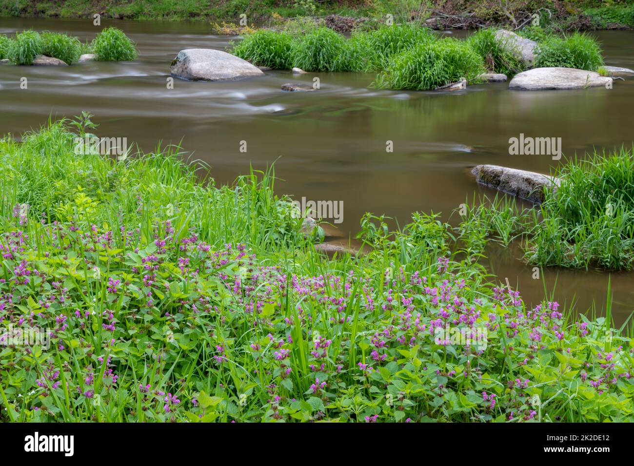 Sazava river hi-res stock photography and images - Alamy
