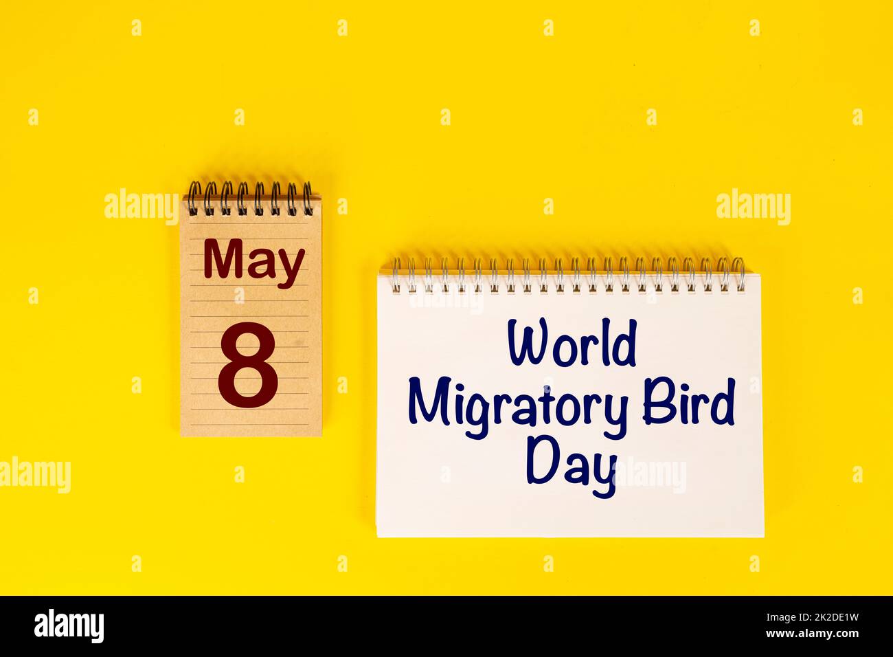 World Migratory Bird Day Stock Photo - Alamy