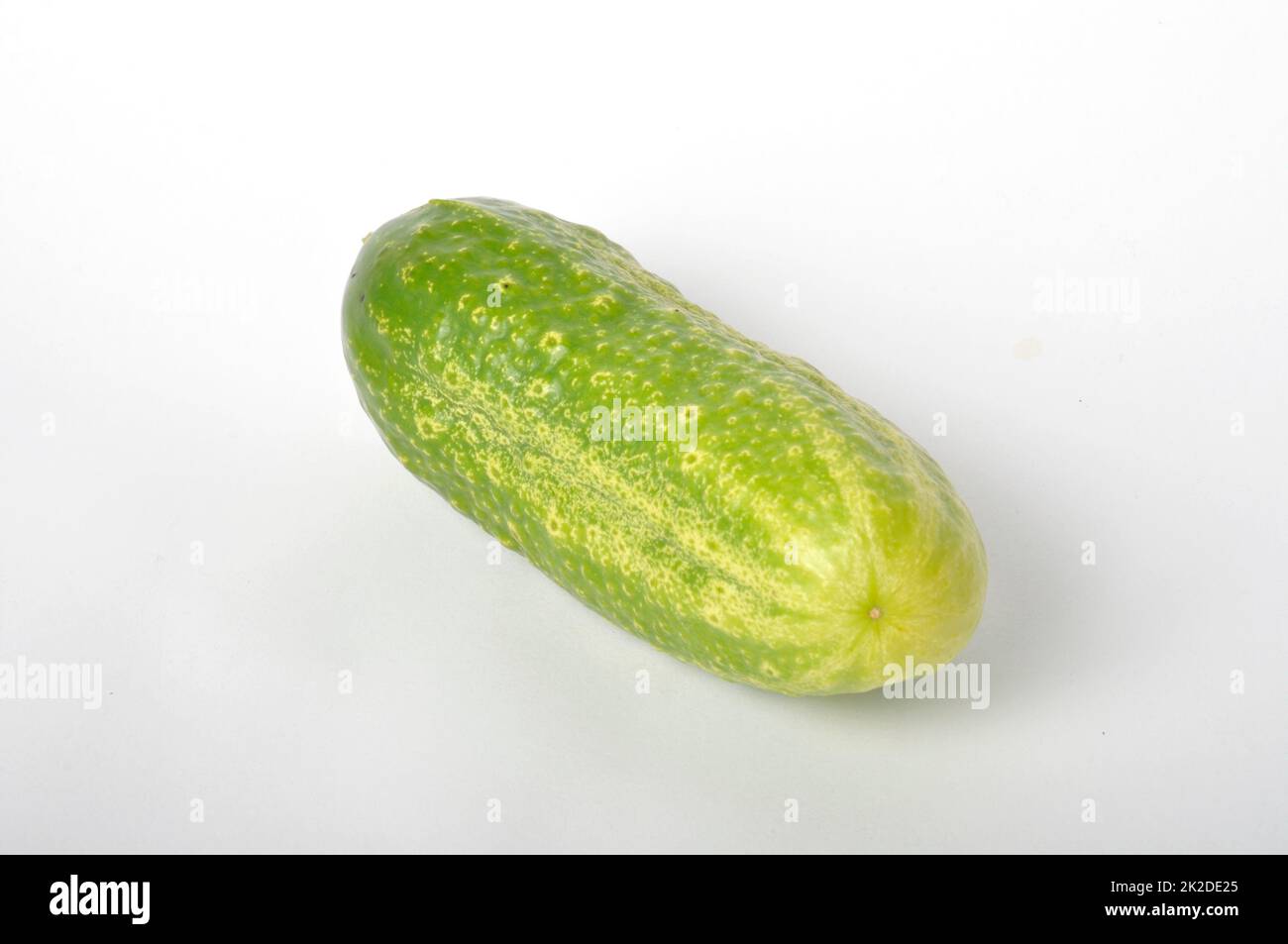 Small cucumber on a white background Stock Photo - Alamy