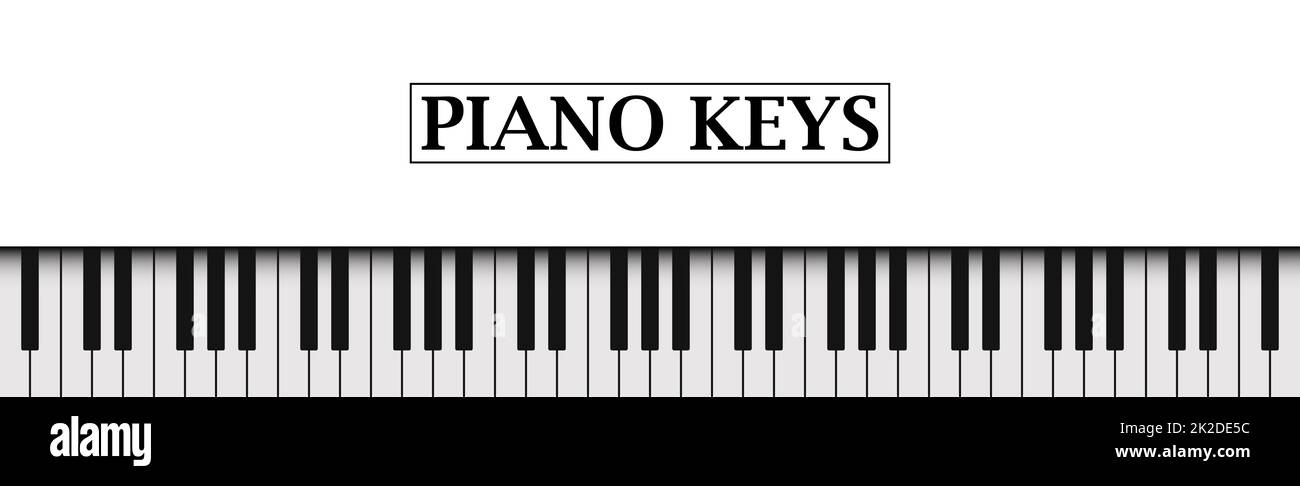 Realistic white background black and white piano keys - Vector Stock ...
