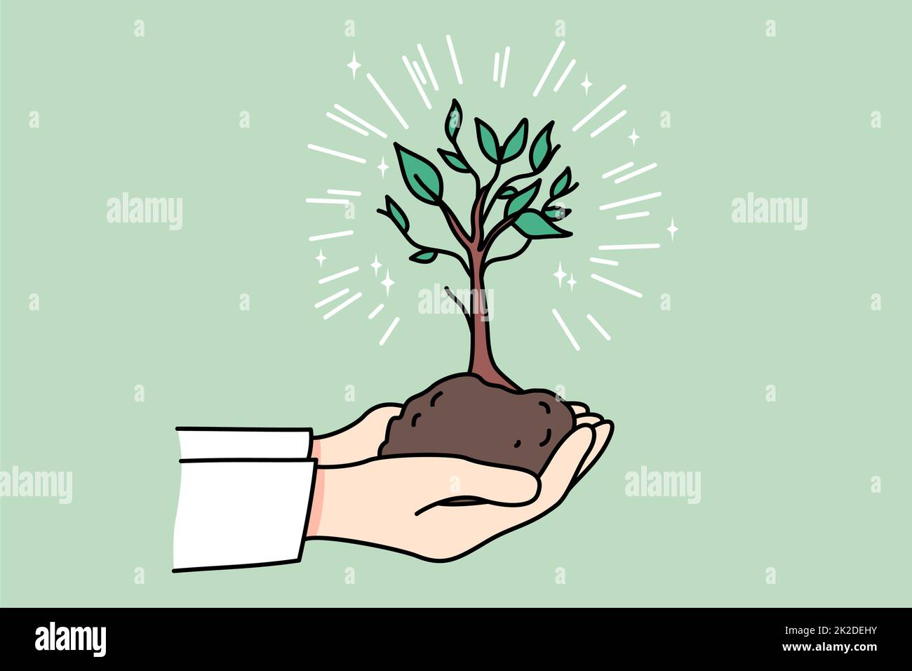 Person holding tree in soil in hands Stock Photo - Alamy